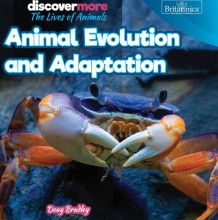 Animal Evolution and Adaptation | eClass Reading