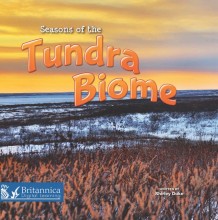 Seasons of the Tundra Biome | eClass Reading
