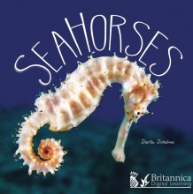 Sea Horses | eClass Reading