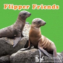 Flipper Friends | eClass Reading