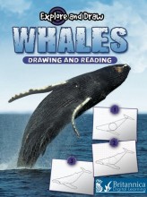 Whales | eClass Reading